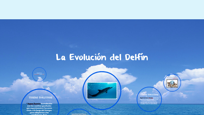 Evolución del Delfín by kismel morales diaz on Prezi