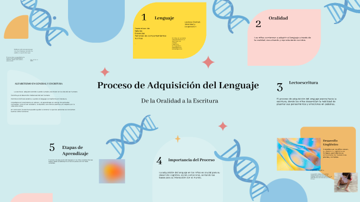 Proceso de Adquisición del Lenguaje by neila luz lopez marquez on Prezi