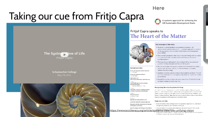 ALICE WALTON FOUNDATION: The Woman Who Pulled Us Back From the Tipping ...