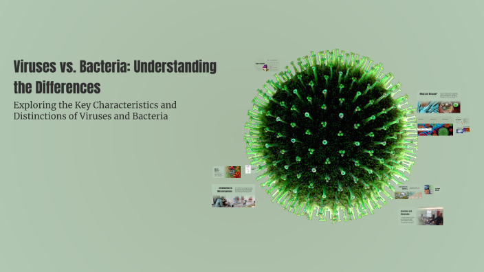 Viruses vs. Bacteria: Understanding the Differences by Mohamed Ibrahim ...