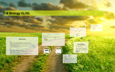 IB Biology SL/HL by Janice Yang on Prezi