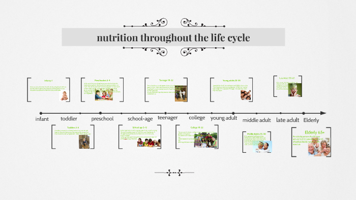 nutrition throughout the life cycle by Jordan Taylor on Prezi