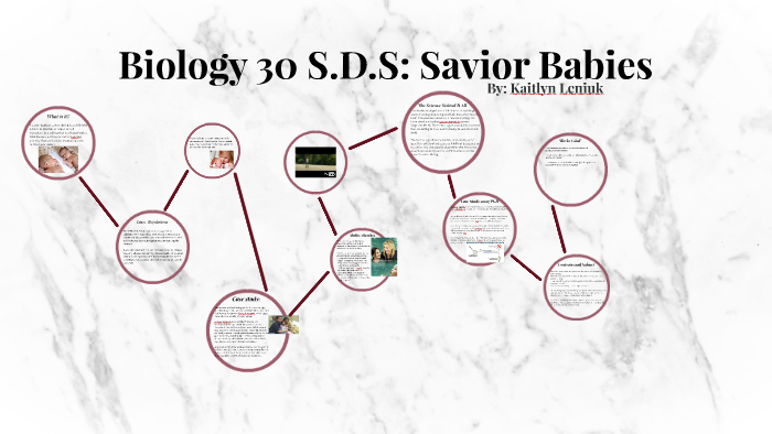 Biology 30 S.D.S: Savior Babies by Kaity L on Prezi