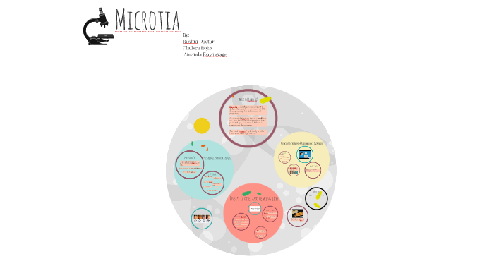 Microtia by on Prezi