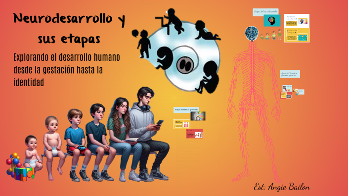Neurodesarrollo y sus etapas by Angie Bailon on Prezi