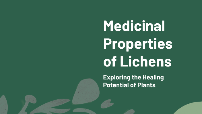 Medicinal Properties of Lichens by Michaela Sarradet on Prezi
