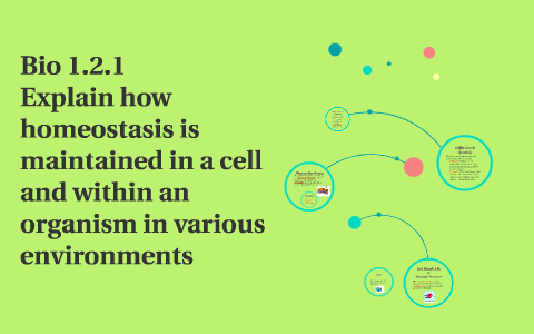 Bio 1.2.1 by on Prezi