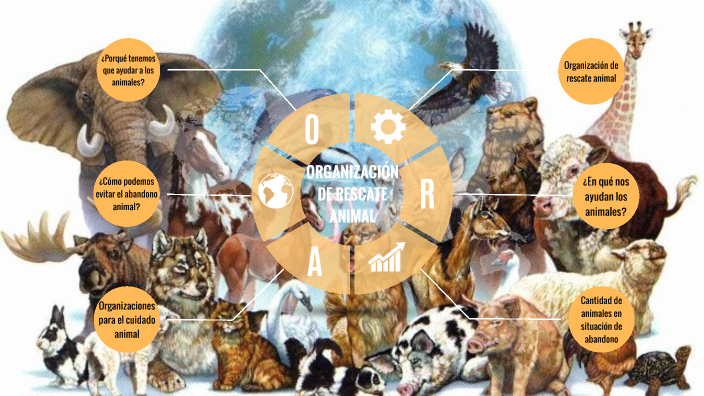RESCATE ANIMAL by Christina Parra on Prezi