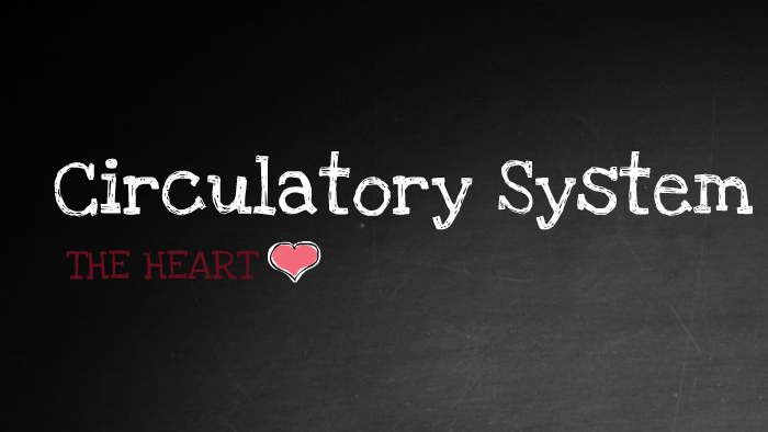 Circulatory System by Summer Cerna