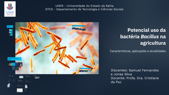 Potencial uso da bactéria Bacillus na agricultura by Samuel Junior on Prezi