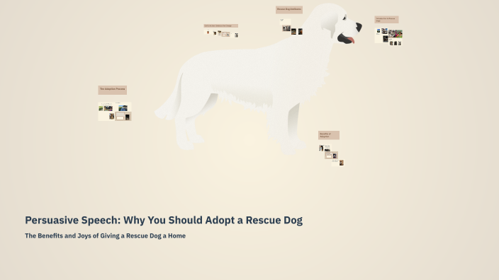 Persuasive Speech: Why You Should Adopt a Rescue Dog by Jenay Granell ...