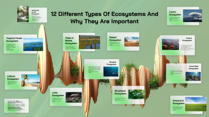 12 Different Types Of Ecosystems And Why They Are Important by Maria ...