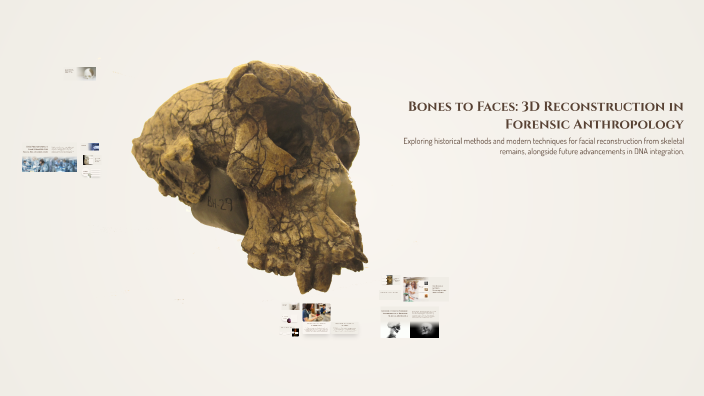 Bones to Faces: 3D Reconstruction in Forensic Anthropology by gaia ...