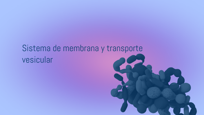 Sistema de membrana y transporte vesicular by Helen Hernandez on Prezi