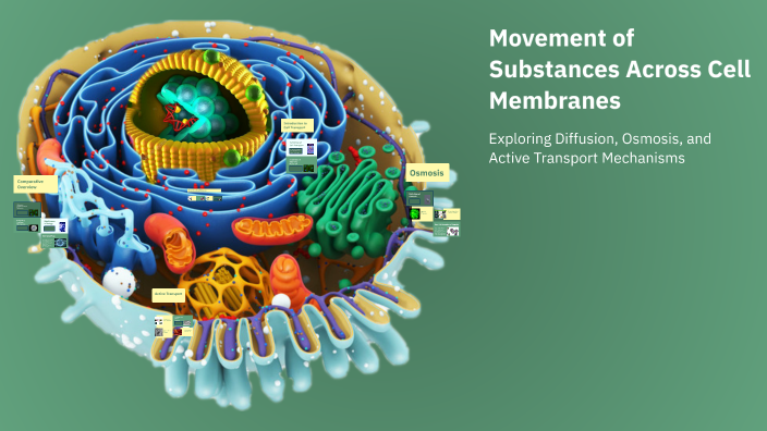 Movement of Substances Across Cell Membranes by ivai Chivavaya on Prezi