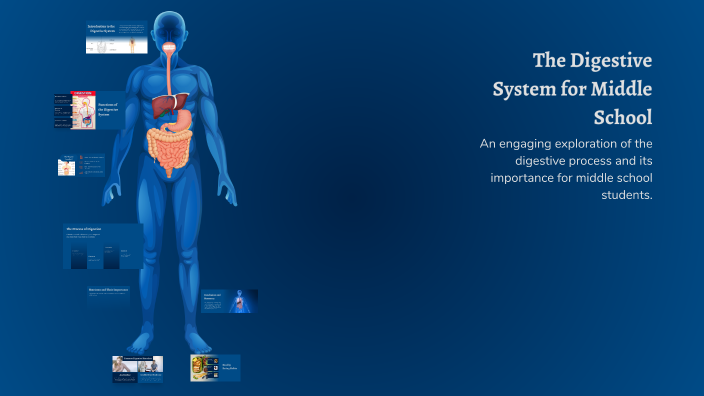 The Digestive System for Middle School by lucia popescu on Prezi