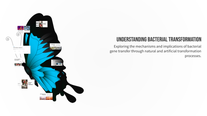 Understanding Bacterial Transformation by catherine microbiology on Prezi