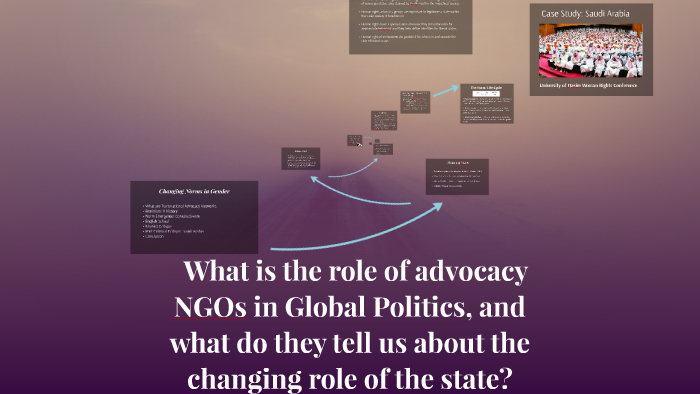 What is the role of advocacy NGOs in Global Politics, and by Ghenwa El ...