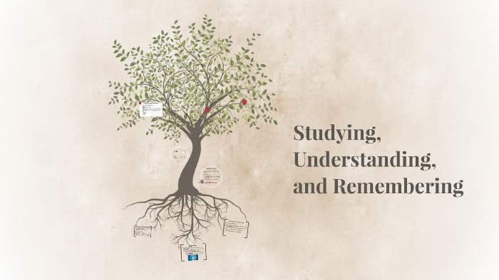 Studying, Understanding, and Remembering by on Prezi