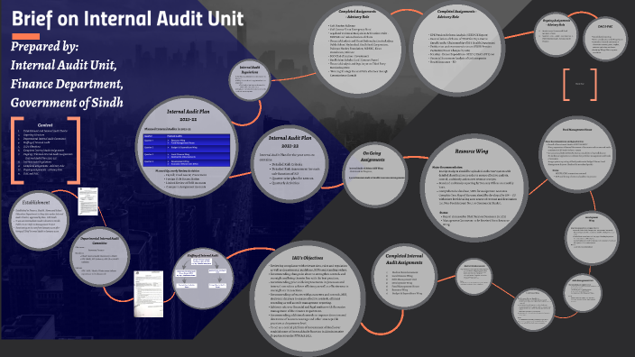 Internal Audit Unit by Sameer Abbas on Prezi