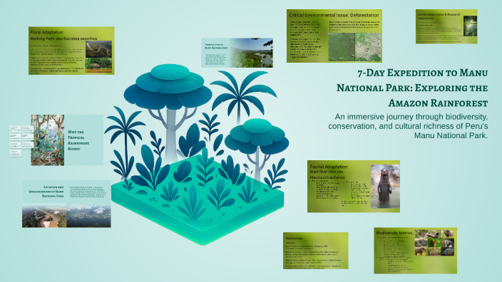 7-Day Expedition to Manu National Park: Exploring the Amazon Rainforest ...