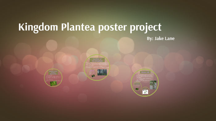 KINGDOM PLANTAE POSTER PROJECT by jake lane on Prezi