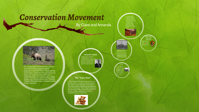 Conservation Movement Wikipedia