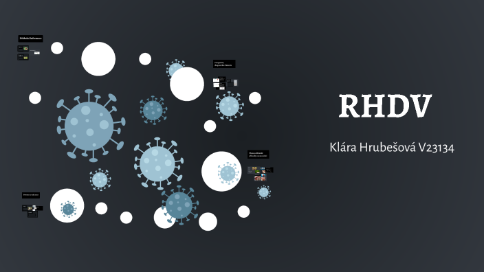 Understanding Viruses in Rabbits by Klára Hrubešová on Prezi
