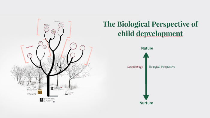 The Biological Perspective of child depvelopment by syd bristow on Prezi