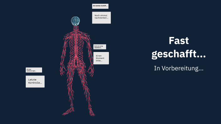 Das vegetative Nervensystem: Eine Reise durch Reflexe by Lennard Kunze ...