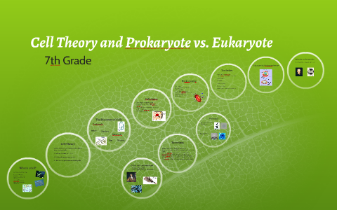 Cell Theory and Prokaryote vs. Eukaryote by