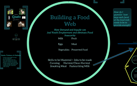 Food Web by Amanda Comeau on Prezi