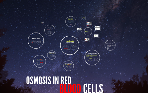 OSMOSIS IN RED BLOOD CELLS by on Prezi