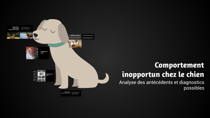 Comportement inopportun chez le chien by Erika Côté on Prezi