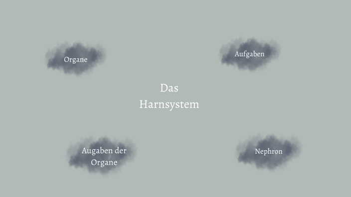 Das Harnsystem by Marie Gsell on Prezi