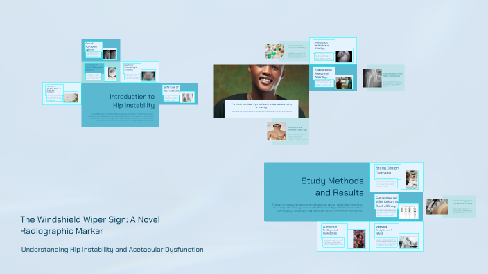 The Windshield Wiper Sign: A Novel Radiographic Marker for Hip ...