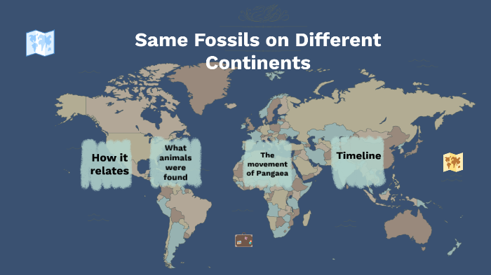 Same Fossils ON different continents by Elizabeth Kaplanis on Prezi