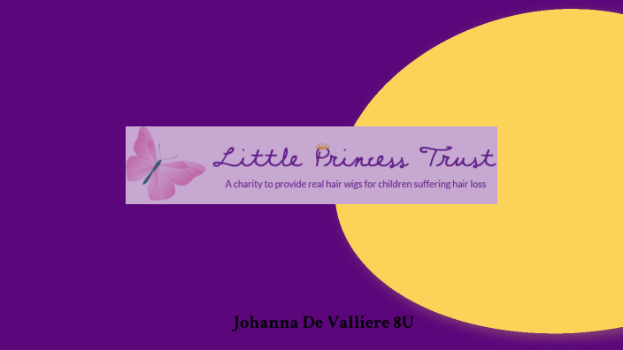 Charity Nomination: The Little Princess Trust by Amanda De Valliere on ...