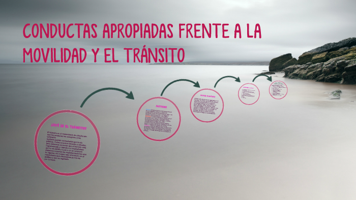 CONDUCTAS APROPIADAS FRENTE A LA MOVILIDAD Y EL TRÁNSITO by Tina garzon ...