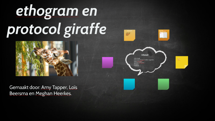 ethogram en protocol giraffe by Ilse Heerkes on Prezi
