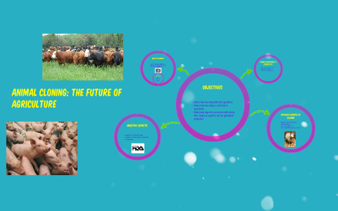 Animal Cloning: The Future of Agriculture by Santana Pardue on Prezi