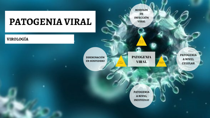 Patogenia viral by Jesús López on Prezi