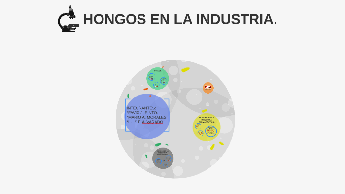 Hongos En La Industria By Favio Pinto On Prezi