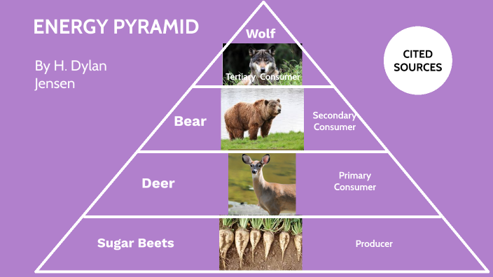 ENERGY PYRAMID by Hailey Jensen on Prezi
