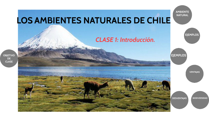LOS AMBIENTES NATURALES by Esteban Rivera Menares on Prezi
