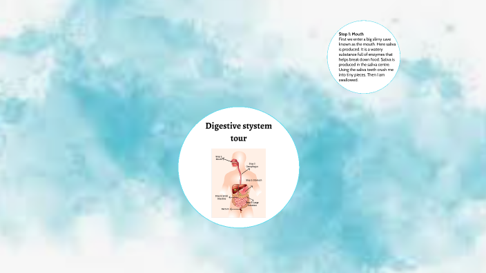 Digestive system tour by India Porch on Prezi