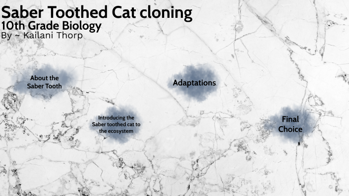 Saber Toothed Cat cloning project - Biology by Kailani Thorp - WCH ...
