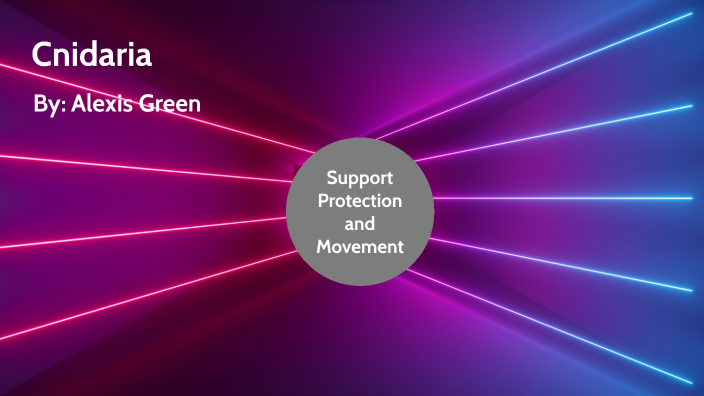 Zoology Cnidaria Support Protection and Movement by Alexis Green on Prezi