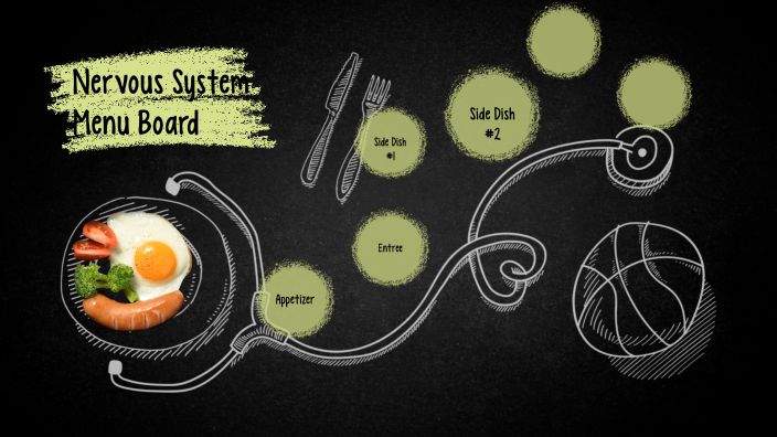 Nervous System Menu Board by Neria Wardlaw on Prezi