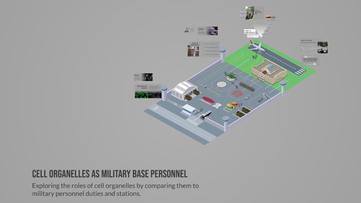 Cell Organelles as Military Base Personnel by Timothy Wortham on Prezi